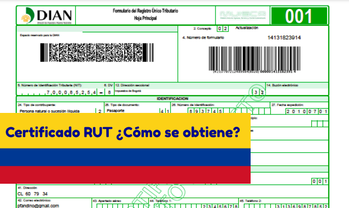 Descargar RUT en Colombia: Todo lo que necesitas saber - Platinum Peach ...