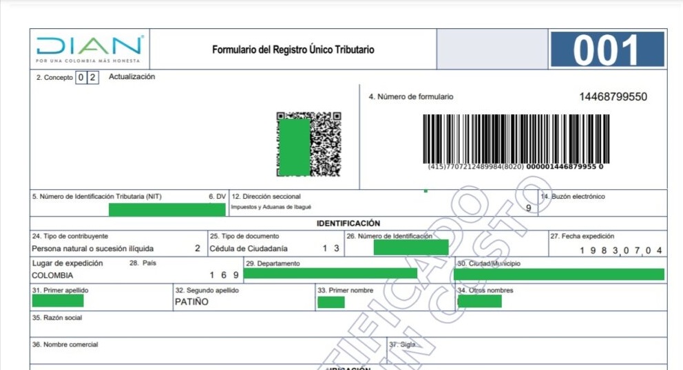 Descargar RUT en Colombia: Todo lo que necesitas saber - Platinum Peach ...
