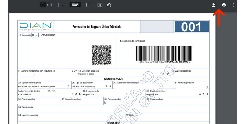 Descargar RUT en Colombia: Todo lo que necesitas saber - Platinum Peach ...