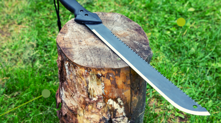 Machetes: Descubre los mejores tipos, usos y dónde comprarlos ...